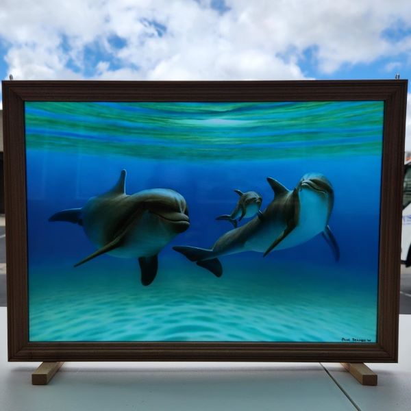 Dolphin Family By Paul Bramer Art For Wildlife Galleries Dolphin Family By Paul Bramer Art For Wildlife Galleries