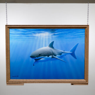 The Hunt: Great White Shark by Paul Bramer - Art for Wildlife Galleries