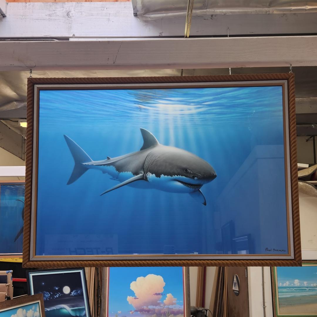 The Hunt Great White Shark By Paul Bramer Art For Wildlife Galleries the-hunt-great-white-shark-by-paul-bramer-art-for-wildlife-galleries